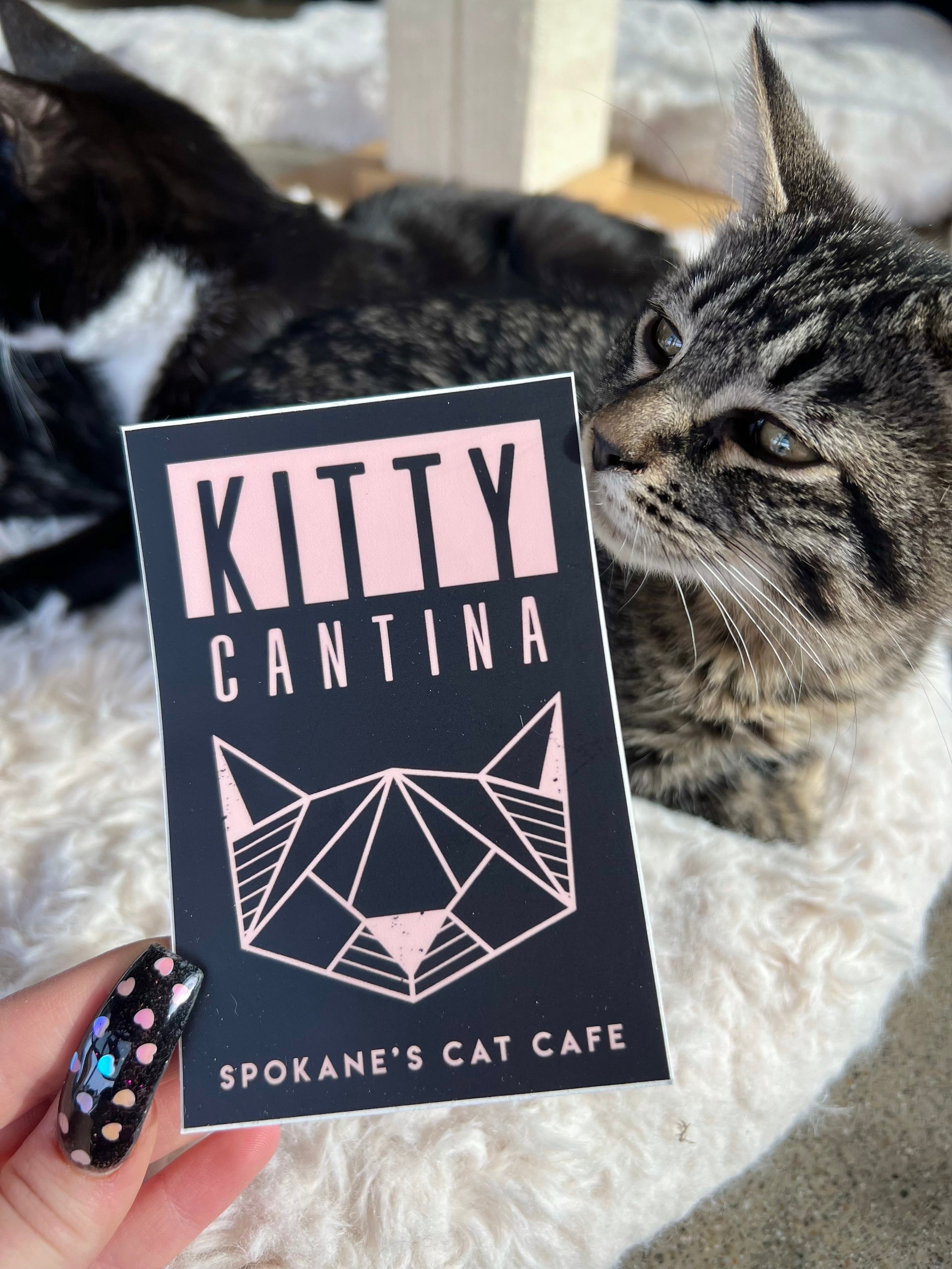 SKC Logo Sticker | Kitty Cantina LLC